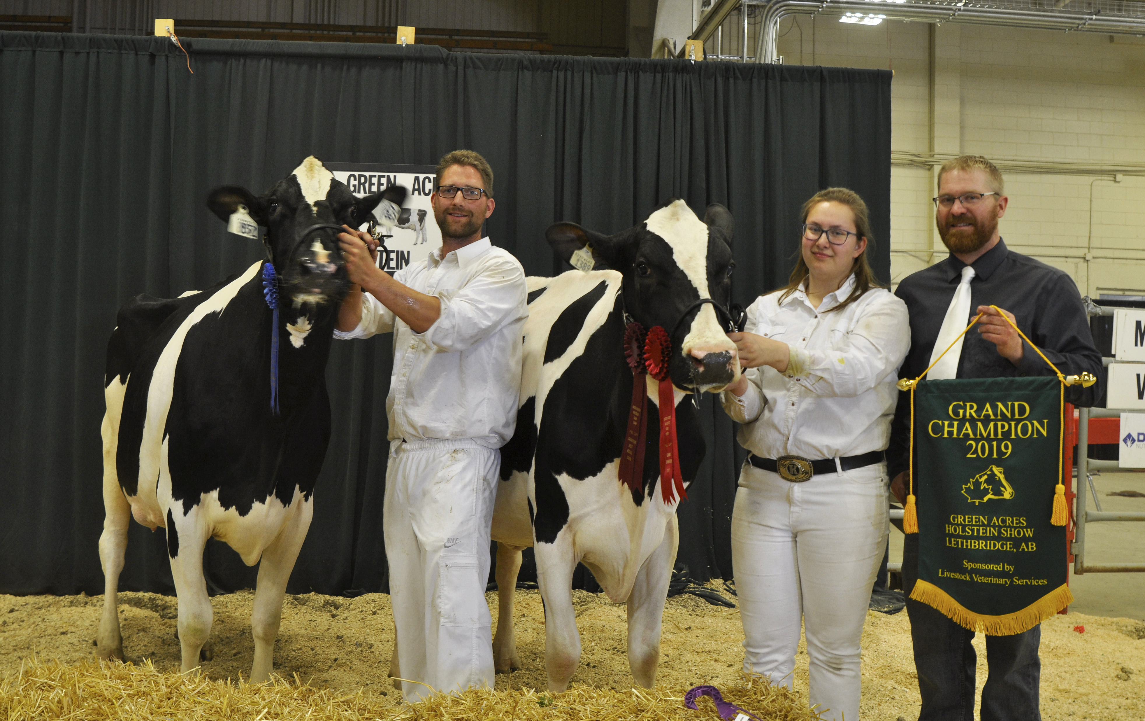 Cow Champ 5(1) – Alberta Holstein Association