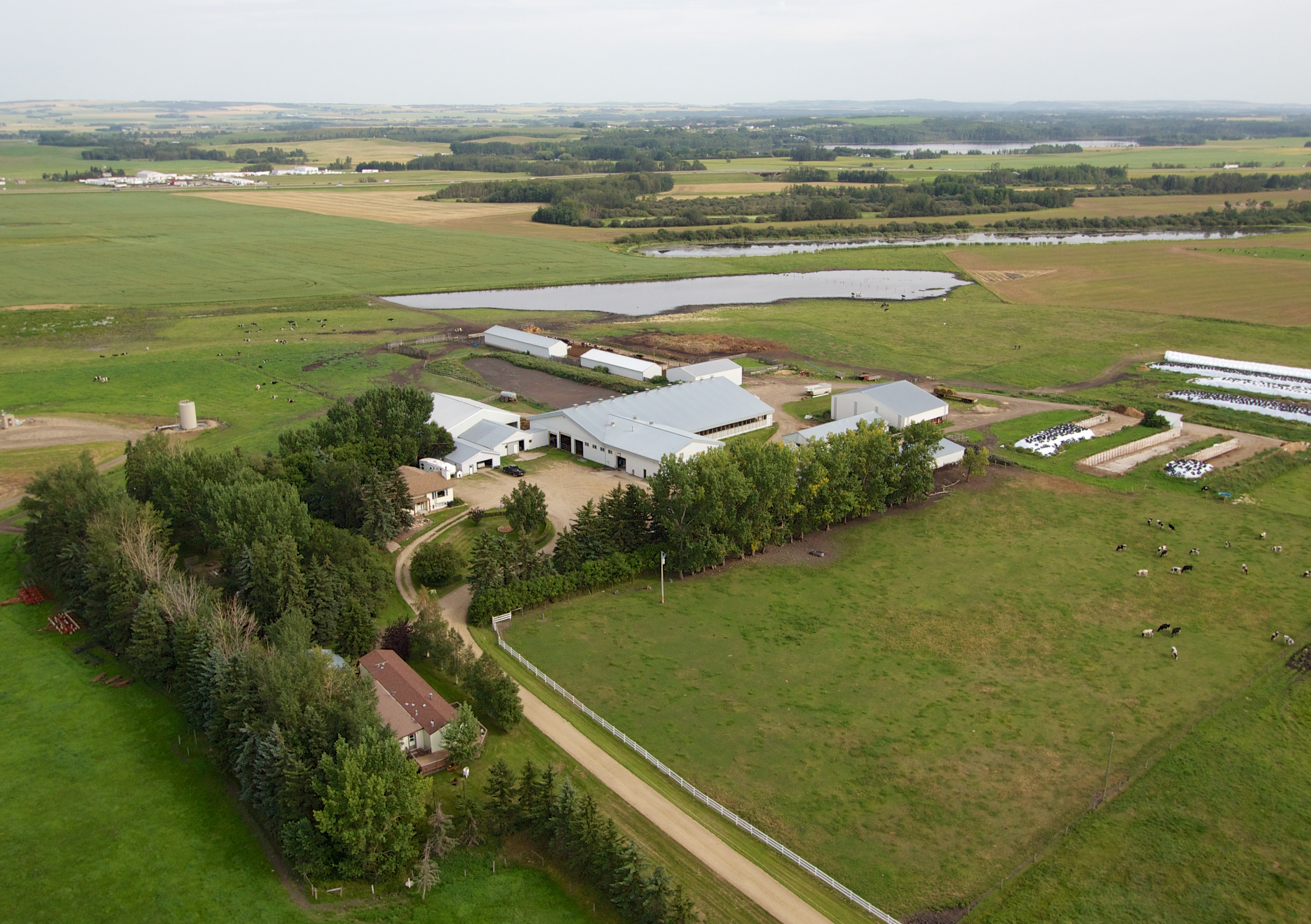 National Awards – Alberta Holstein Association